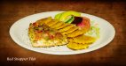 Maracas Restaurant – Maracas Restaurant